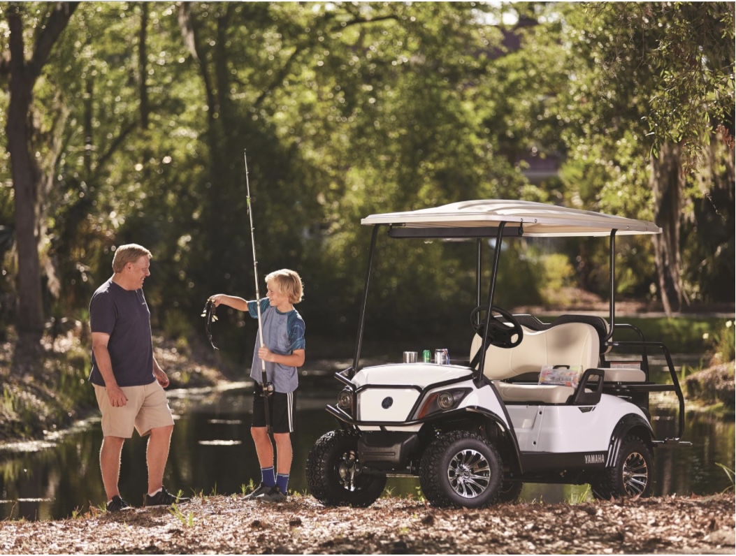 Golf Carts - Wiese